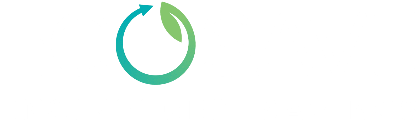 Leadership Team at Ecosave | Ecosave Meet Our Energy Solutions Company